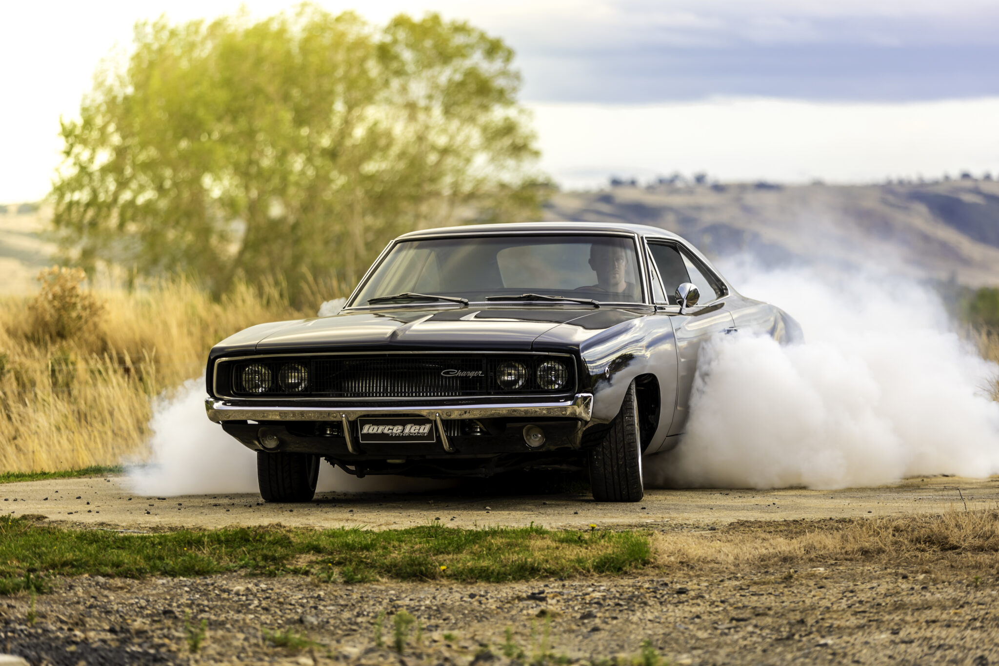 Snake Bite - TWIN TURBO V10 1968 Dodge Charger | NZV8